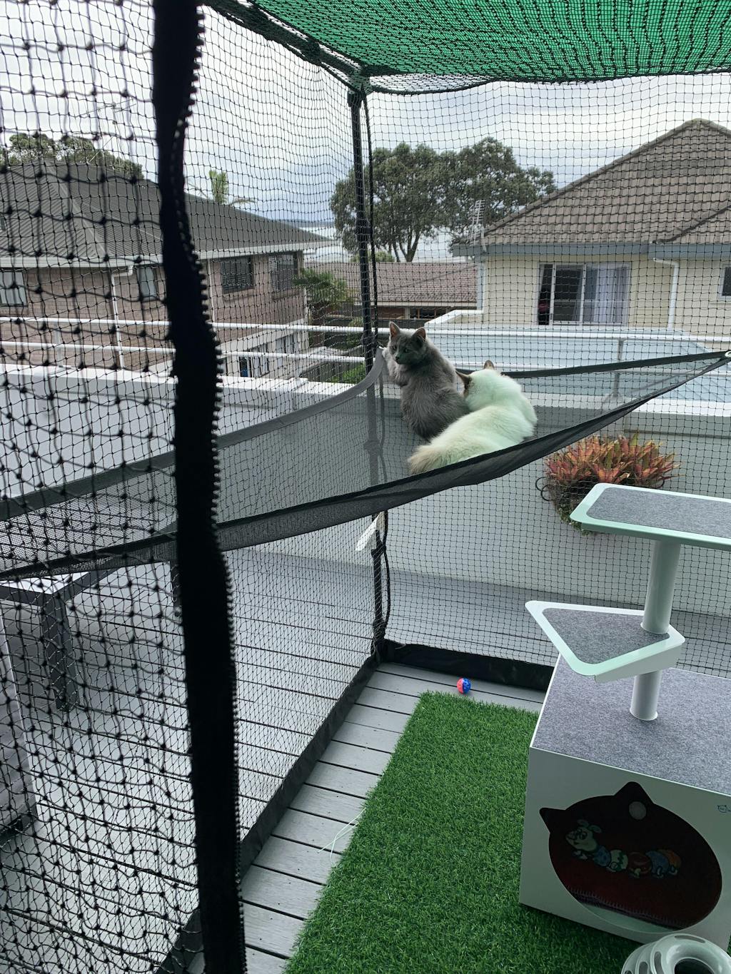 Premium Portable Cat Enclosure Double 3.6m – Catnets