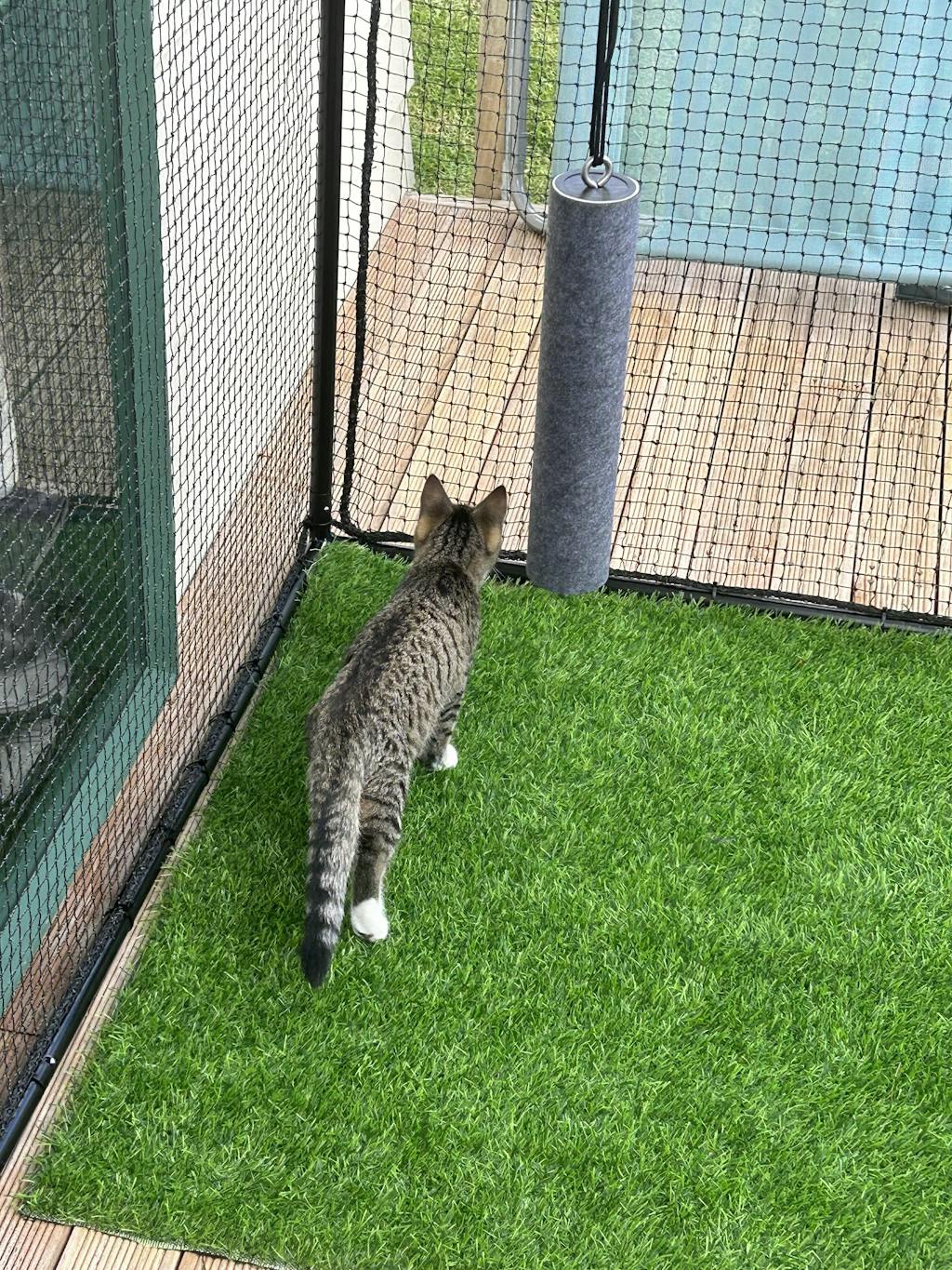 Double Size 3.6m Freestanding Cat Enclosure – Catnets