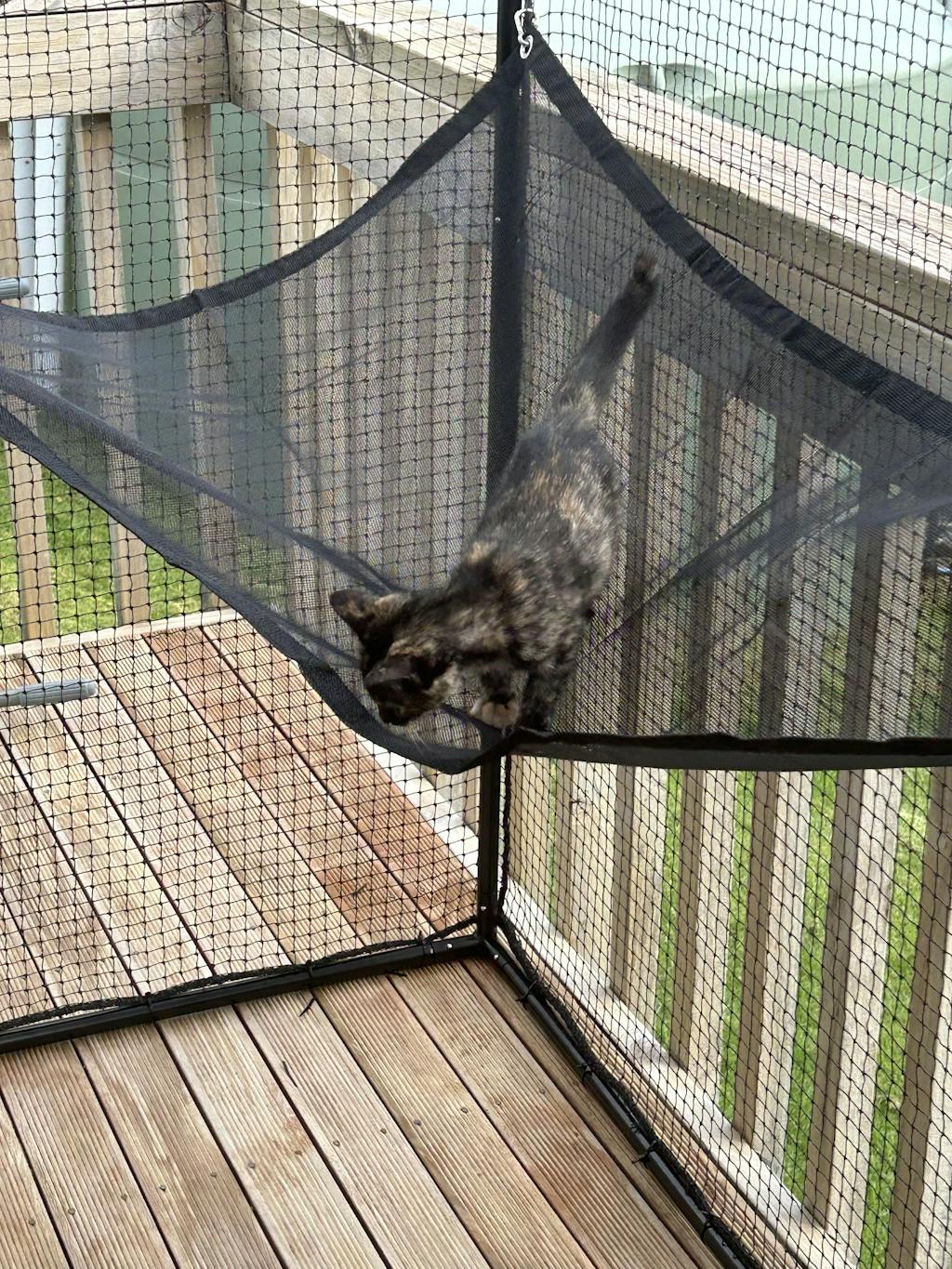 Double Size 3.6m Freestanding Cat Enclosure – Catnets