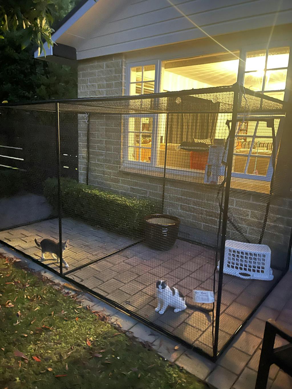 Double Size 3.6m Freestanding Cat Enclosure – Catnets