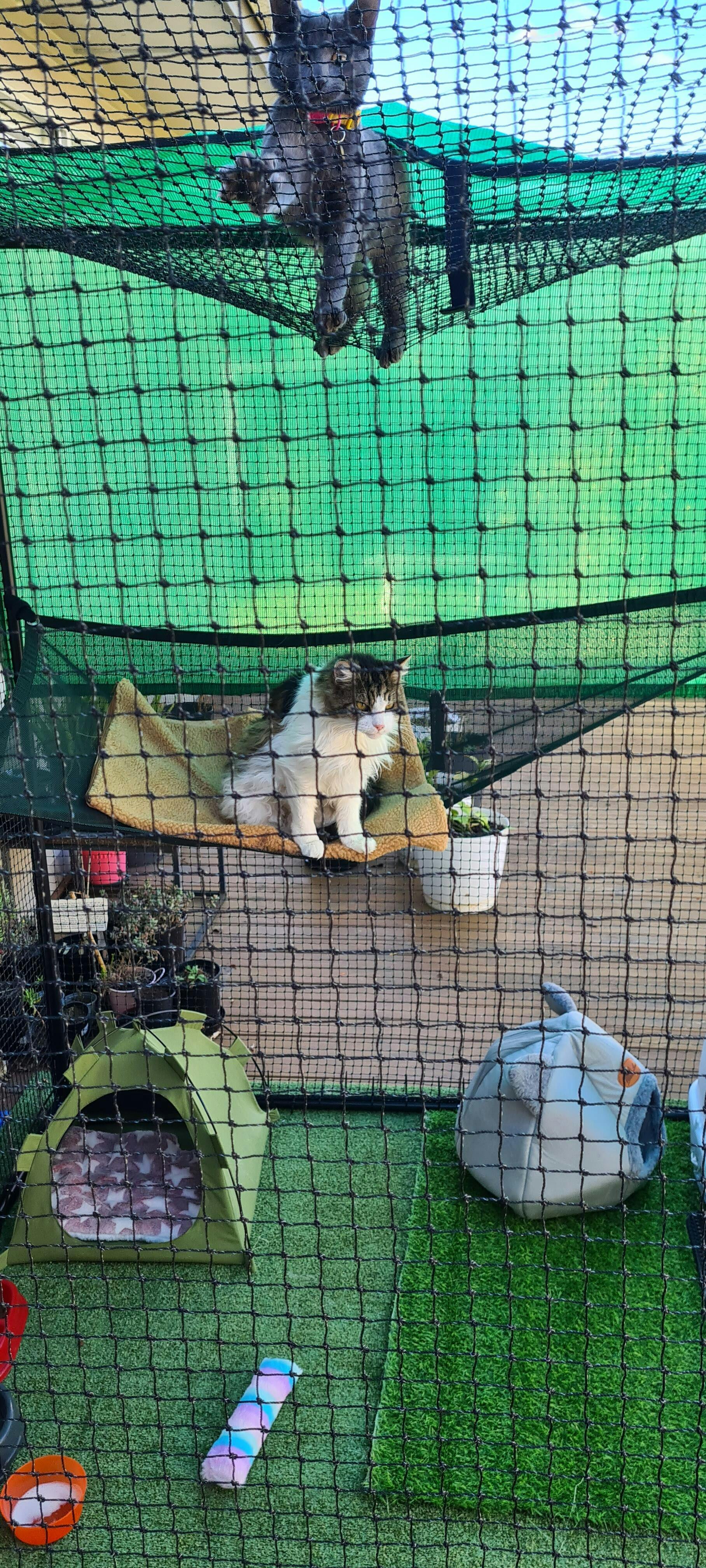 Premium Shade Sail to suit all Freestanding Cat Enclosures – Catnets ...