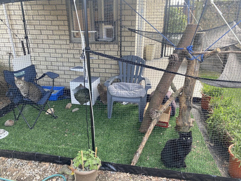 Premium Portable Cat Enclosure Double 3.6m – Catnets