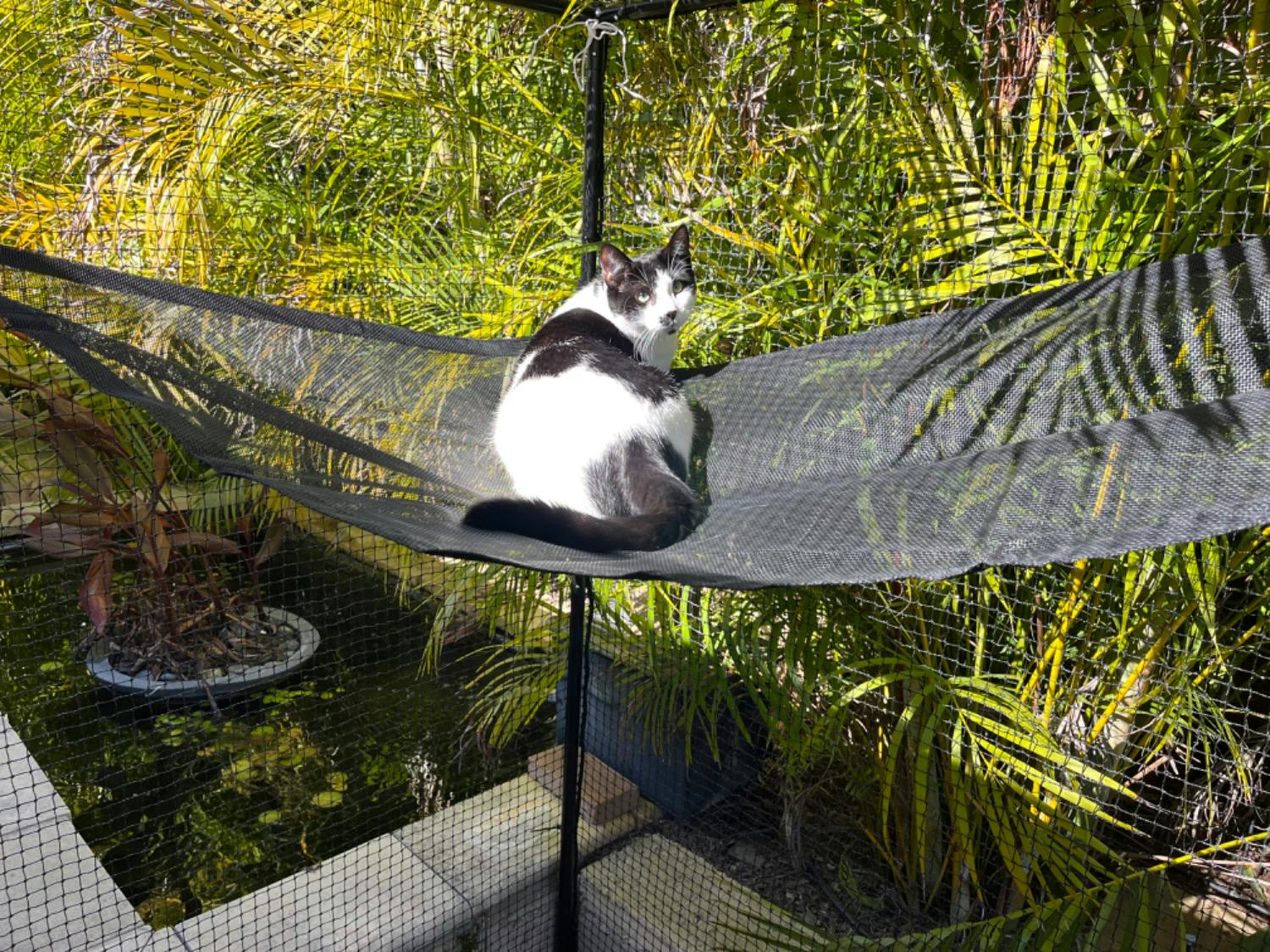 Triple Size 5.4m Freestanding Cat Enclosure – Catnets