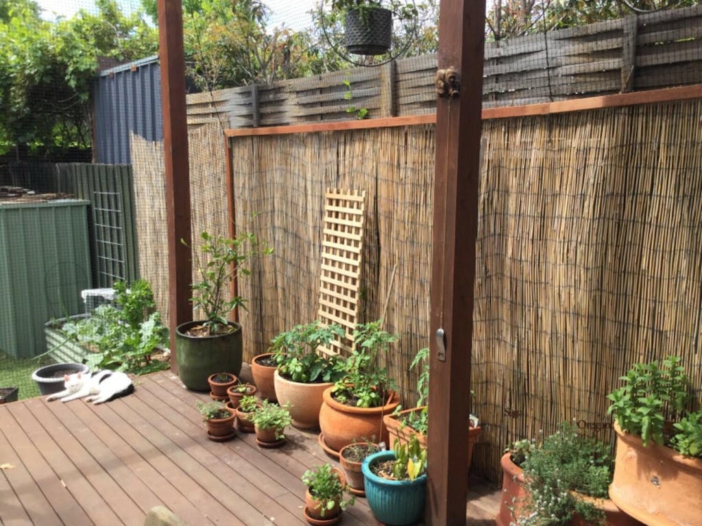 Cat Netting with Reinforced Edging 10m x 5m – Catnets