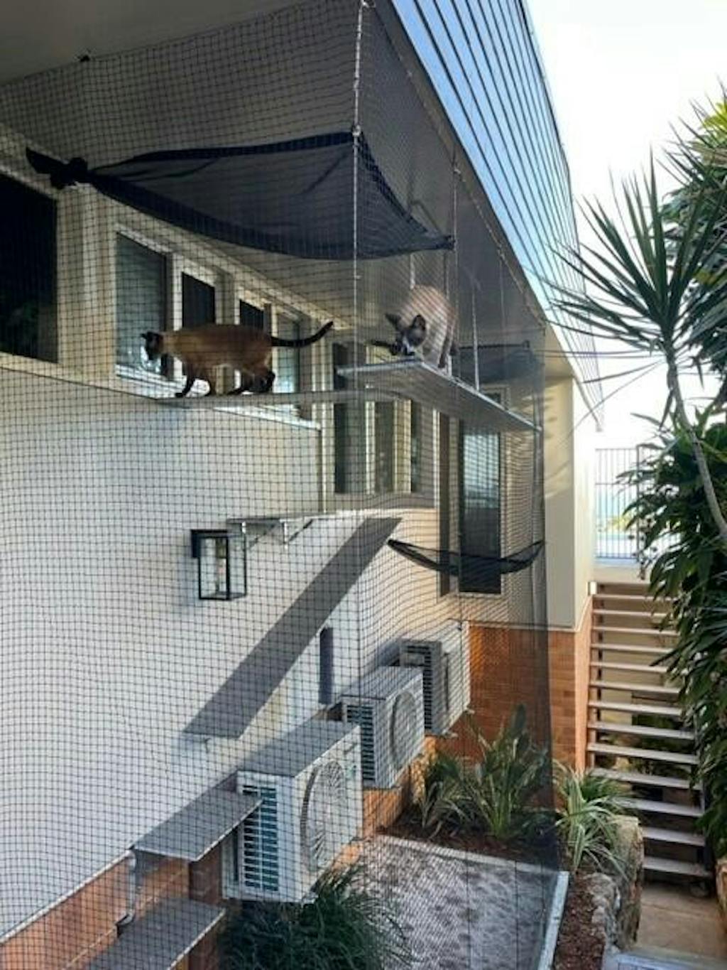 Cat Corner Hammock Kit | Cat Nets – Catnets