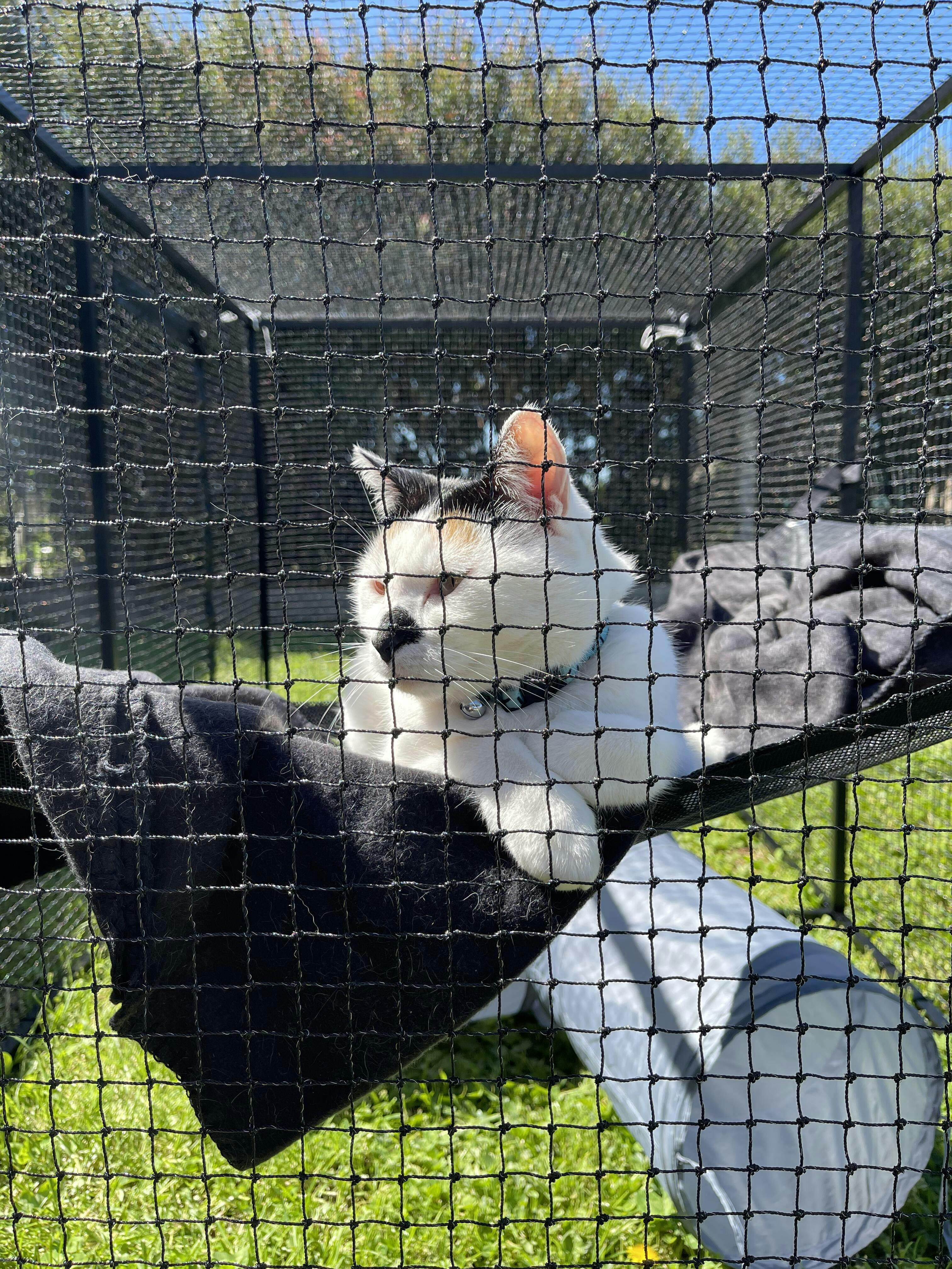 Lite Portable Cat Enclosure 2.3m | Cat Nets – Catnets