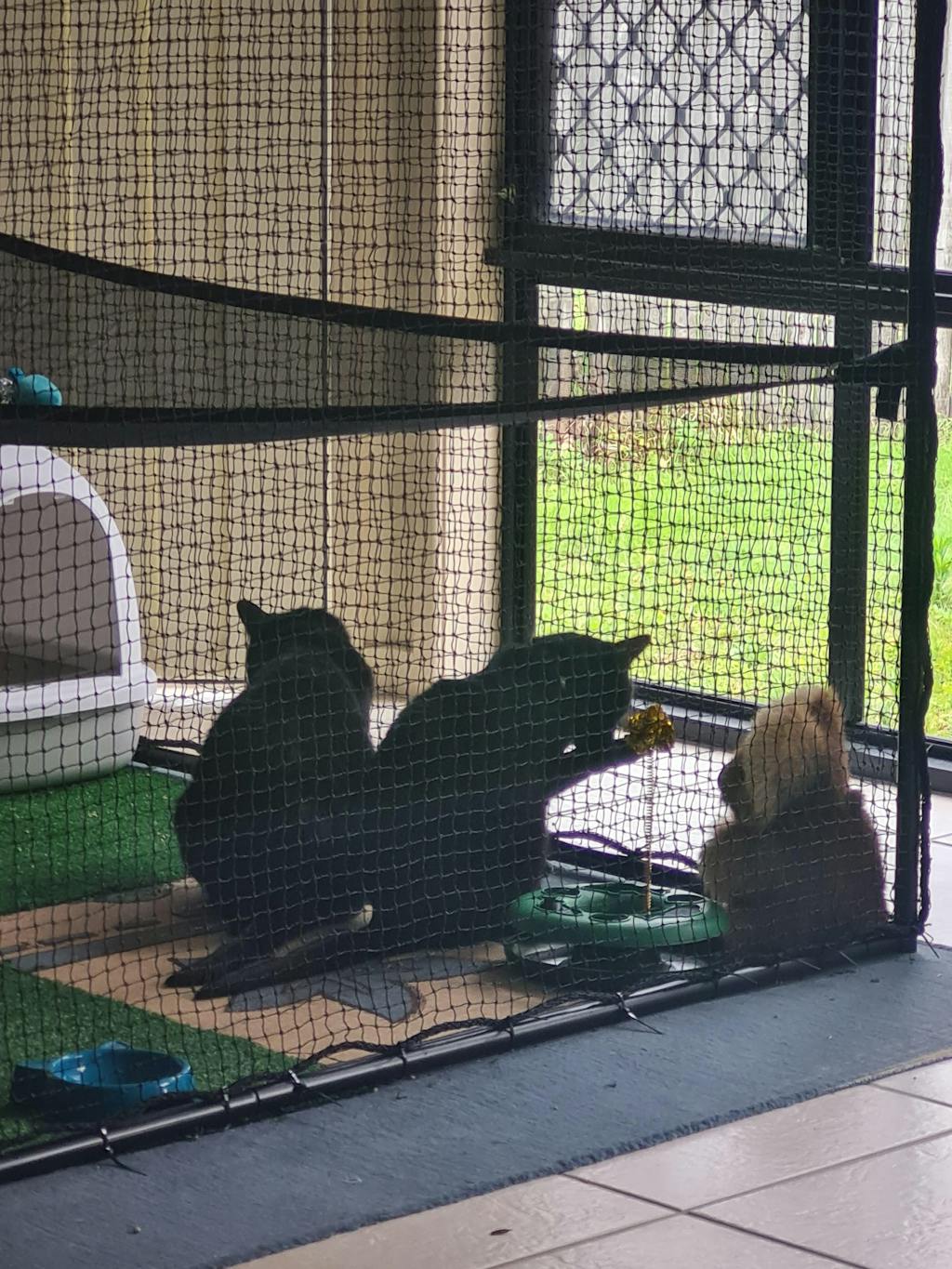 Single Size 1.8m Freestanding Cat Enclosure – Catnets