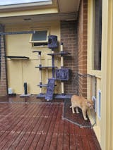 Stainless Steel Complete Wall Net with F-Zipper (3.5m x 3.5m Netting ...