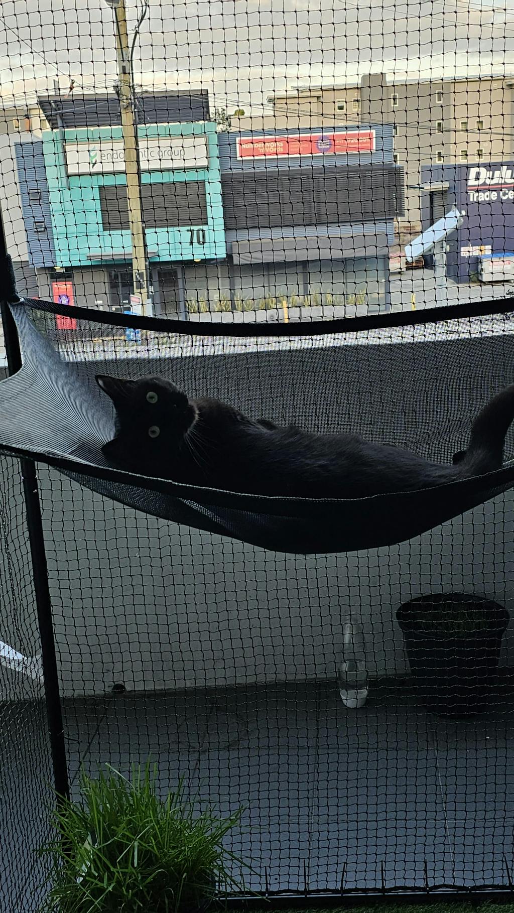 Single Size 1.8m Freestanding Cat Enclosure – Catnets