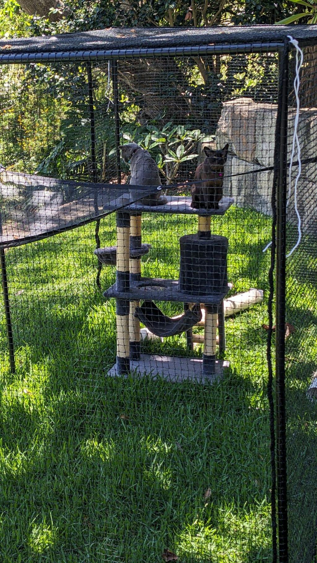 Double Size 3.6m Freestanding Cat Enclosure | Cat Nets – Catnets