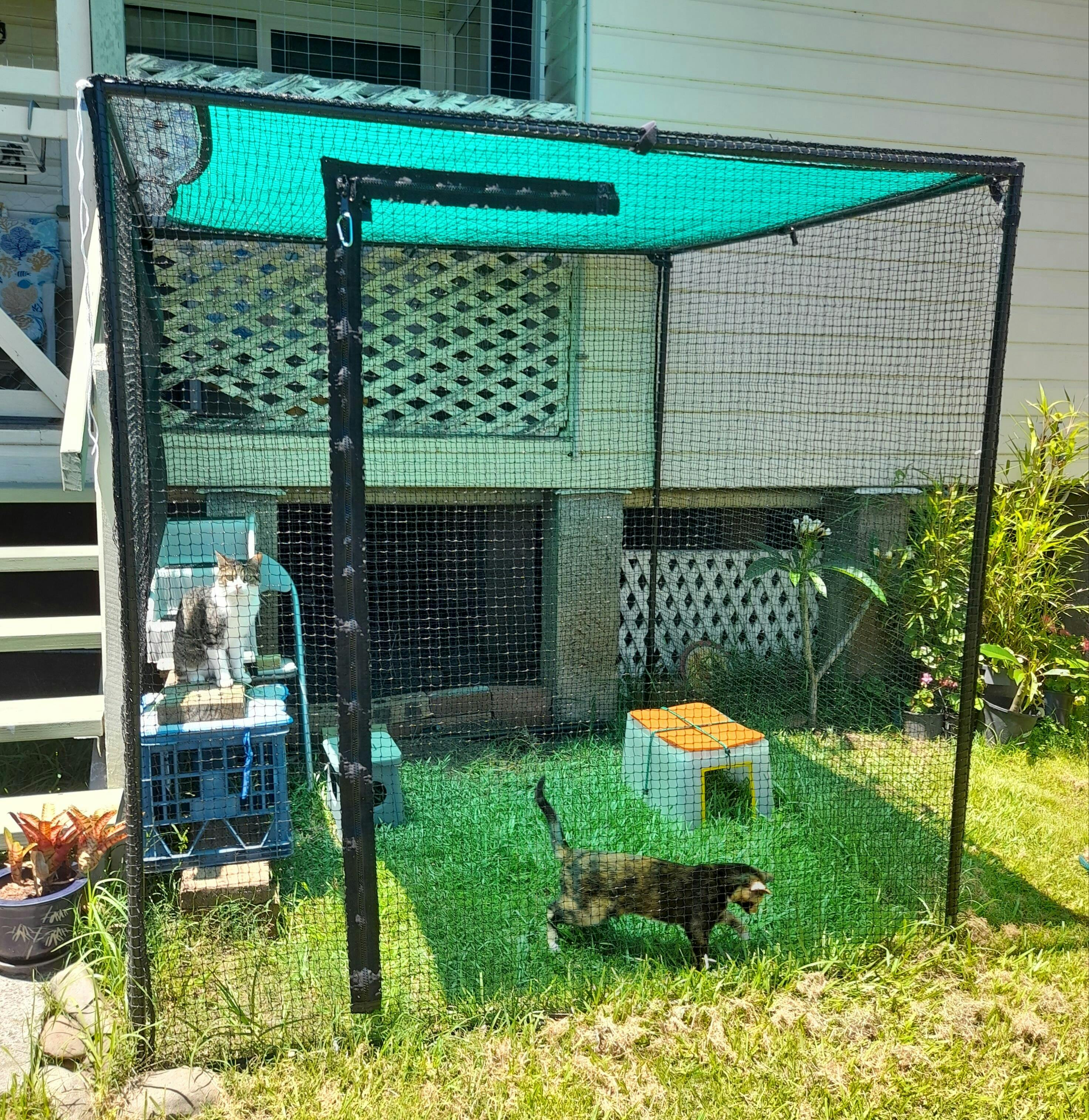 Lite Portable Cat Enclosure 2.3m | Cat Nets – Catnets