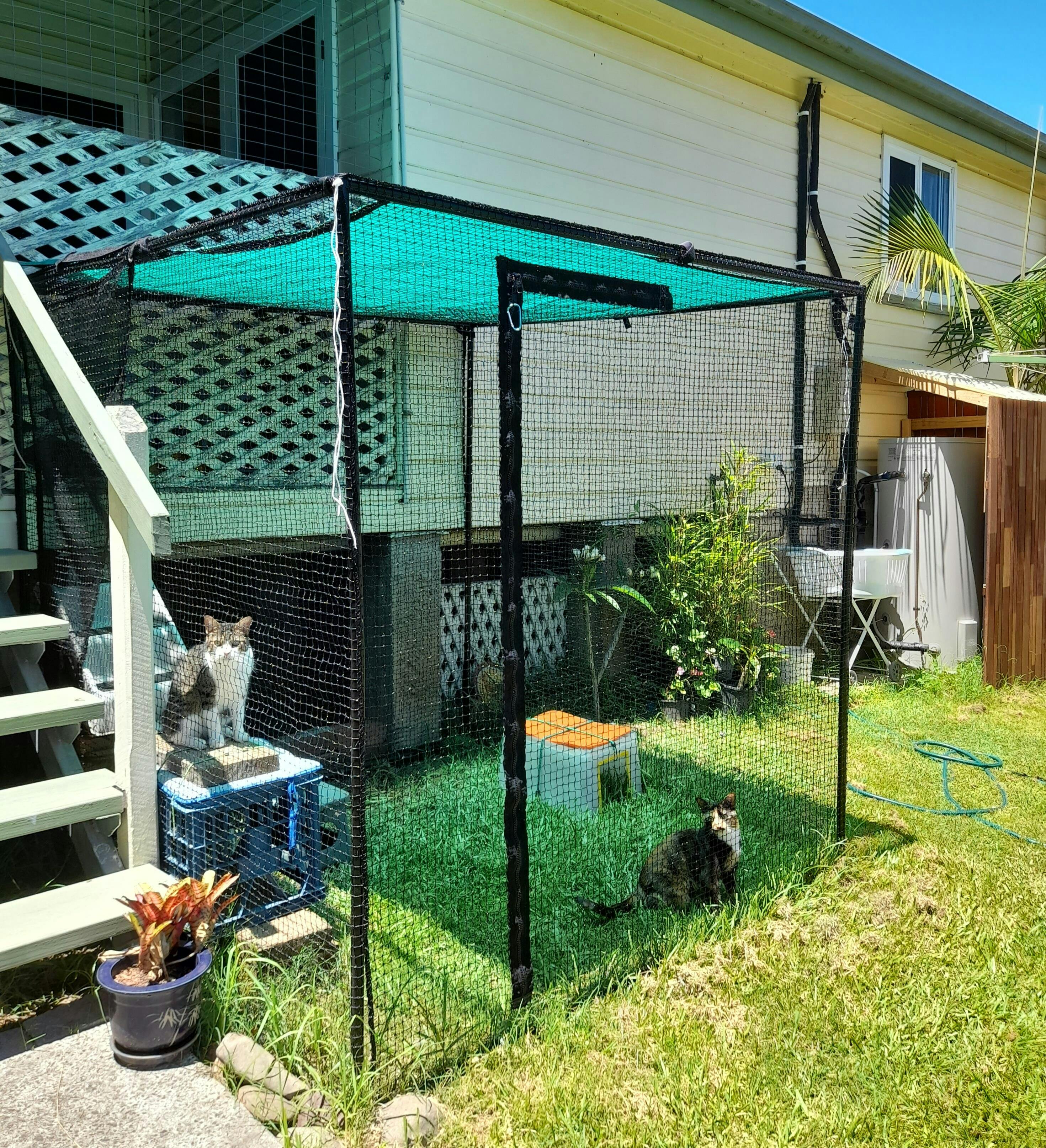 Lite Portable Cat Enclosure 2.3m | Cat Nets – Catnets