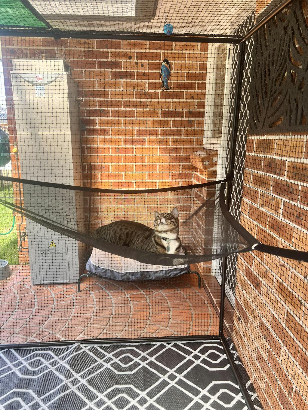 Single Size 1.8m Free-Standing Cat Enclosure – Catnets New Zealand