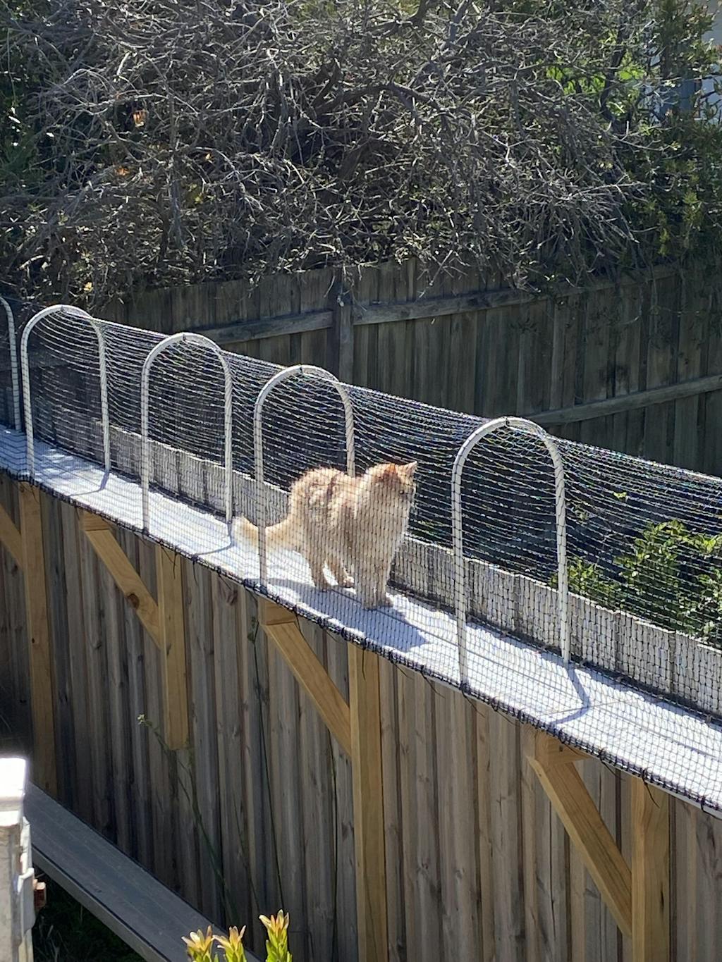 Cat Netting 25m x 3m Black – Catnets