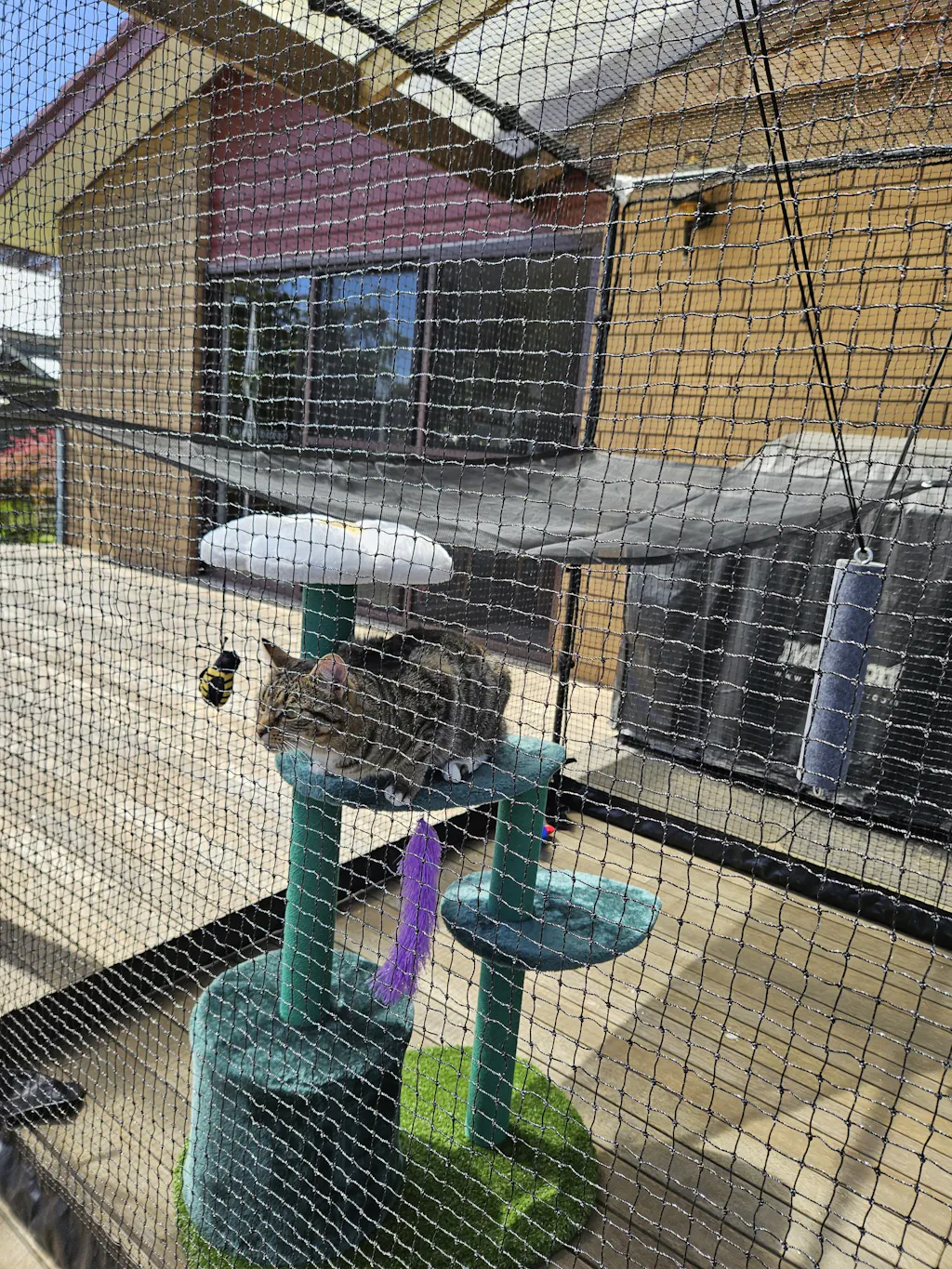 Premium Portable Cat Enclosure 1.8m – Catnets