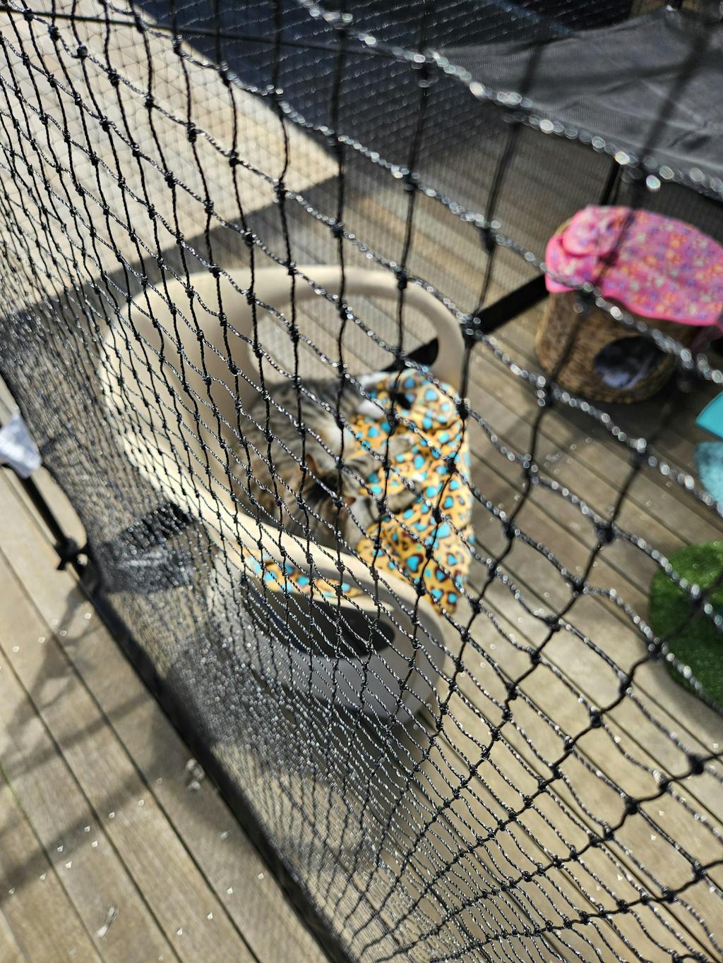 Premium Portable Cat Enclosure 1.8m – Catnets