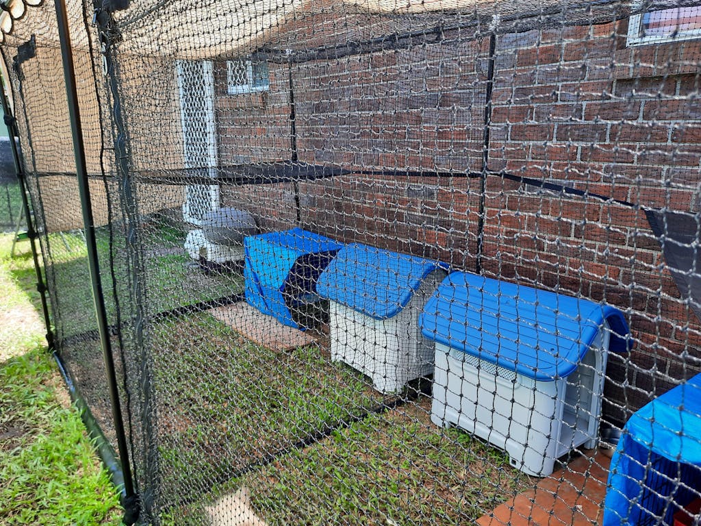 Premium Portable Cat Enclosure Double 3.6m – Catnets