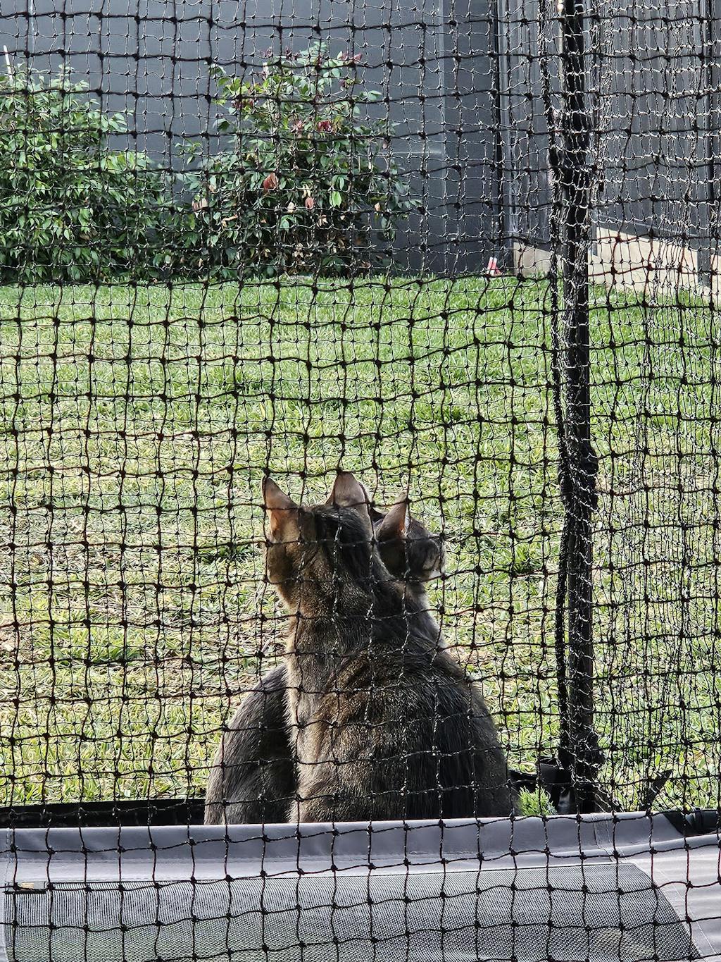 Premium Portable Cat Enclosure 1.8m – Catnets