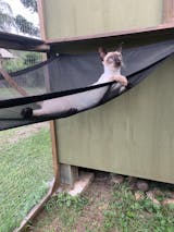 Corner Hammock Kit – Catnets