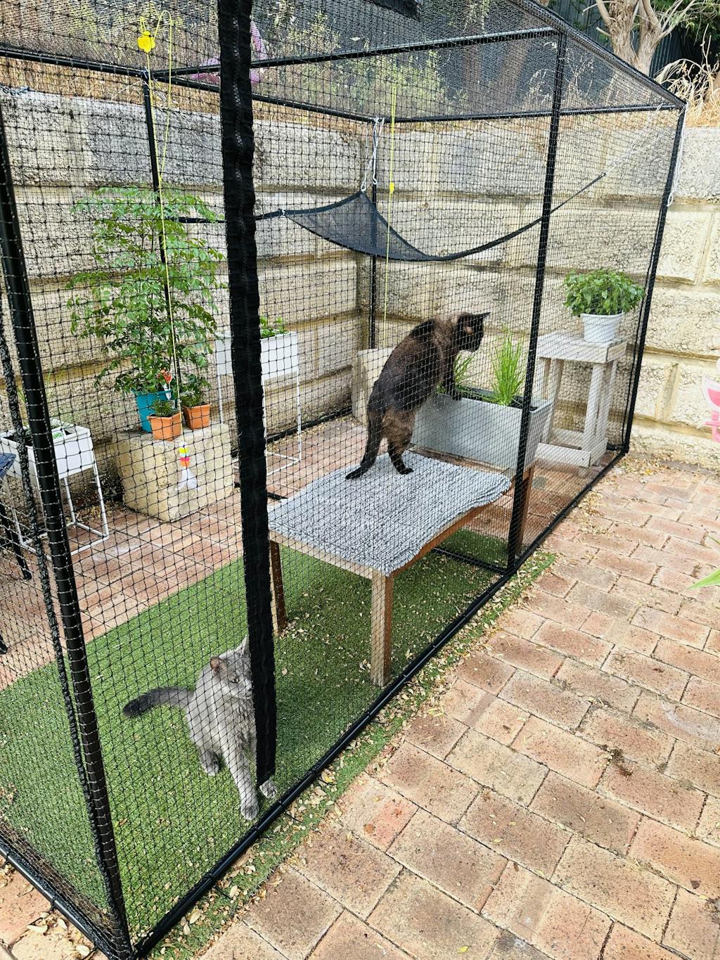 Double Size 3.6m Freestanding Cat Enclosure – Catnets