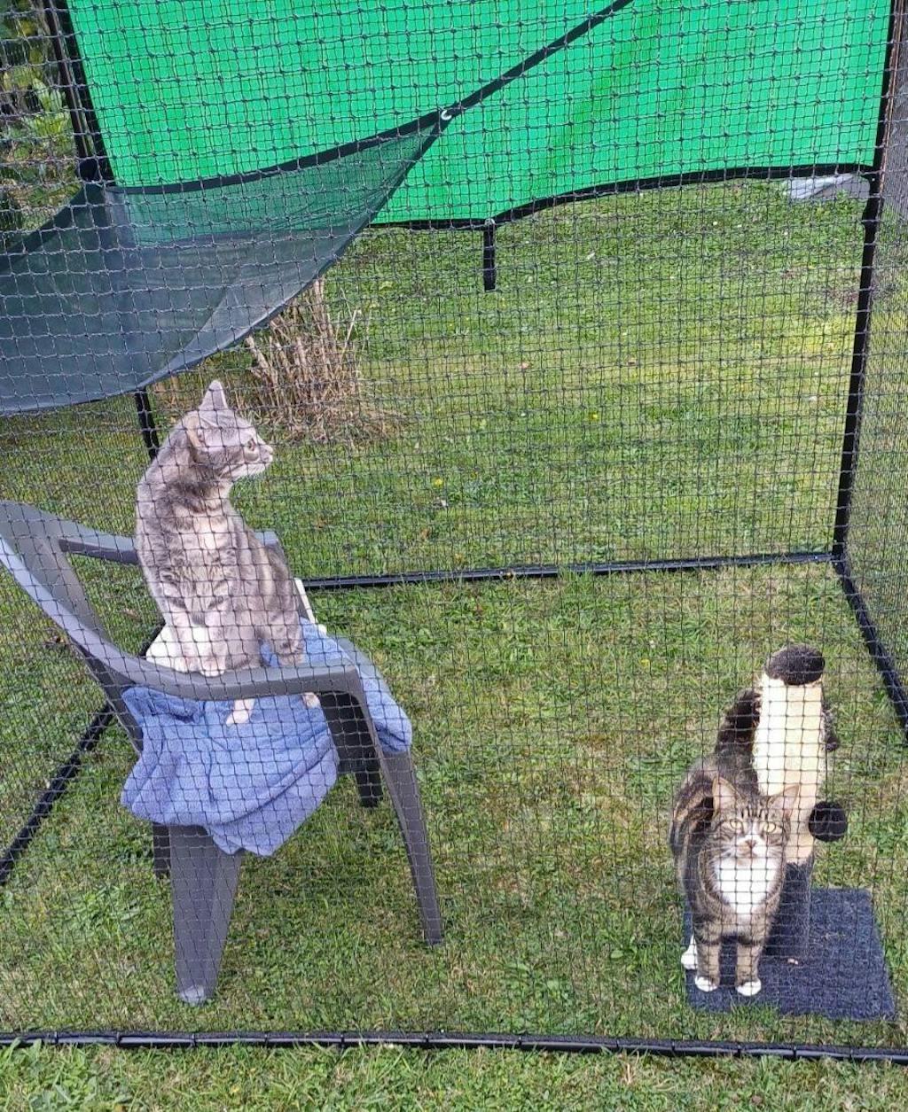 Single Size 1.8m Free-Standing Cat Enclosure – Catnets New Zealand