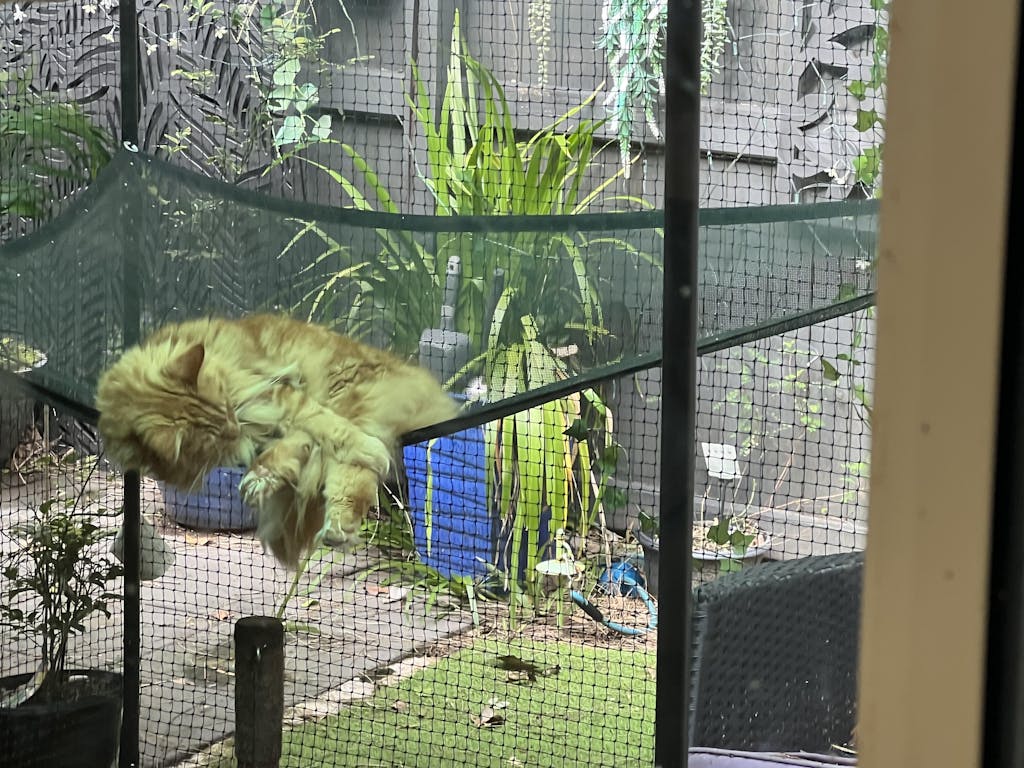 Cat Netting with Reinforced Edging 7.5m x 1.8m – Catnets