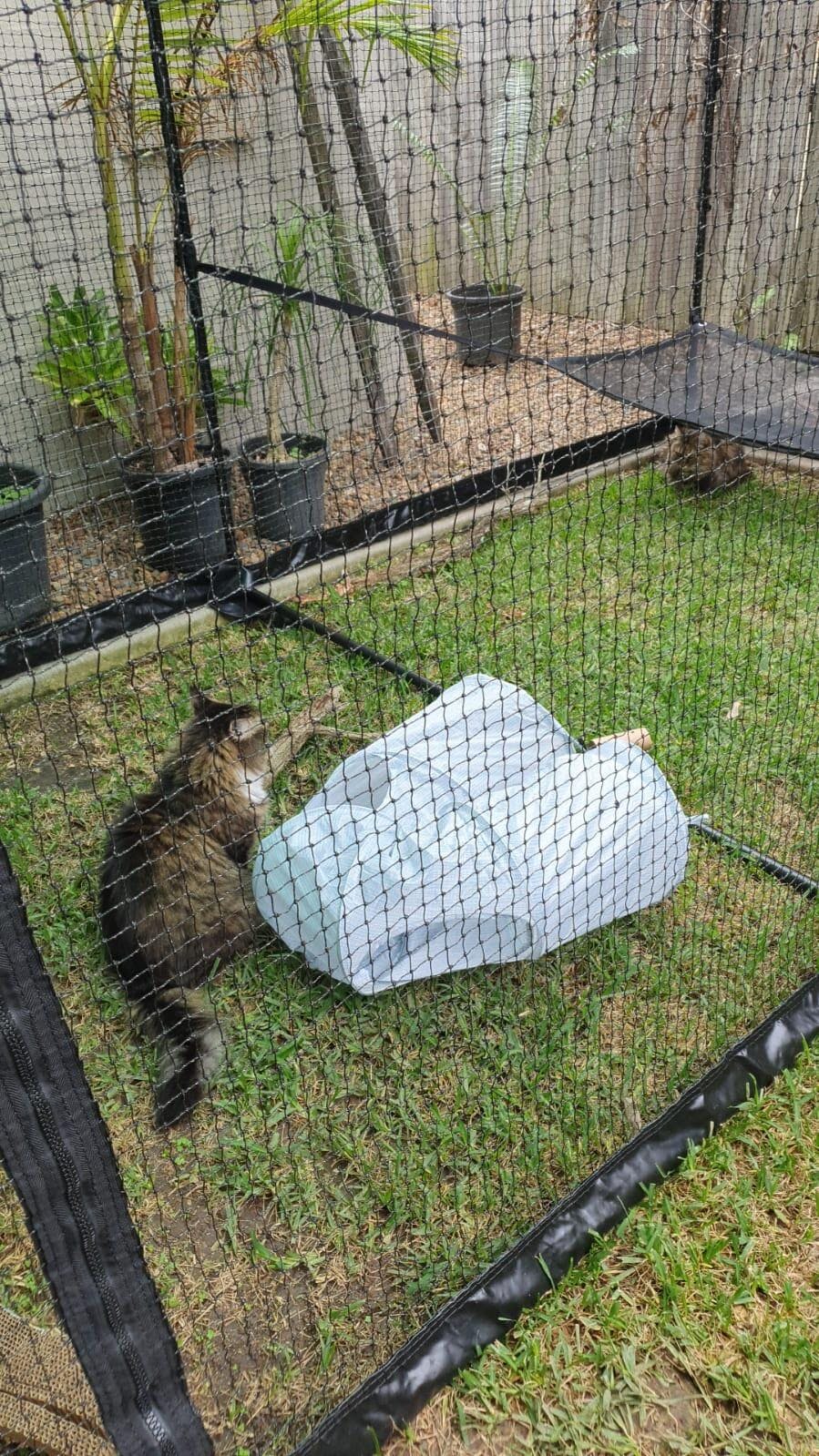 Premium Portable Cat Enclosure Double 3.6m – Catnets