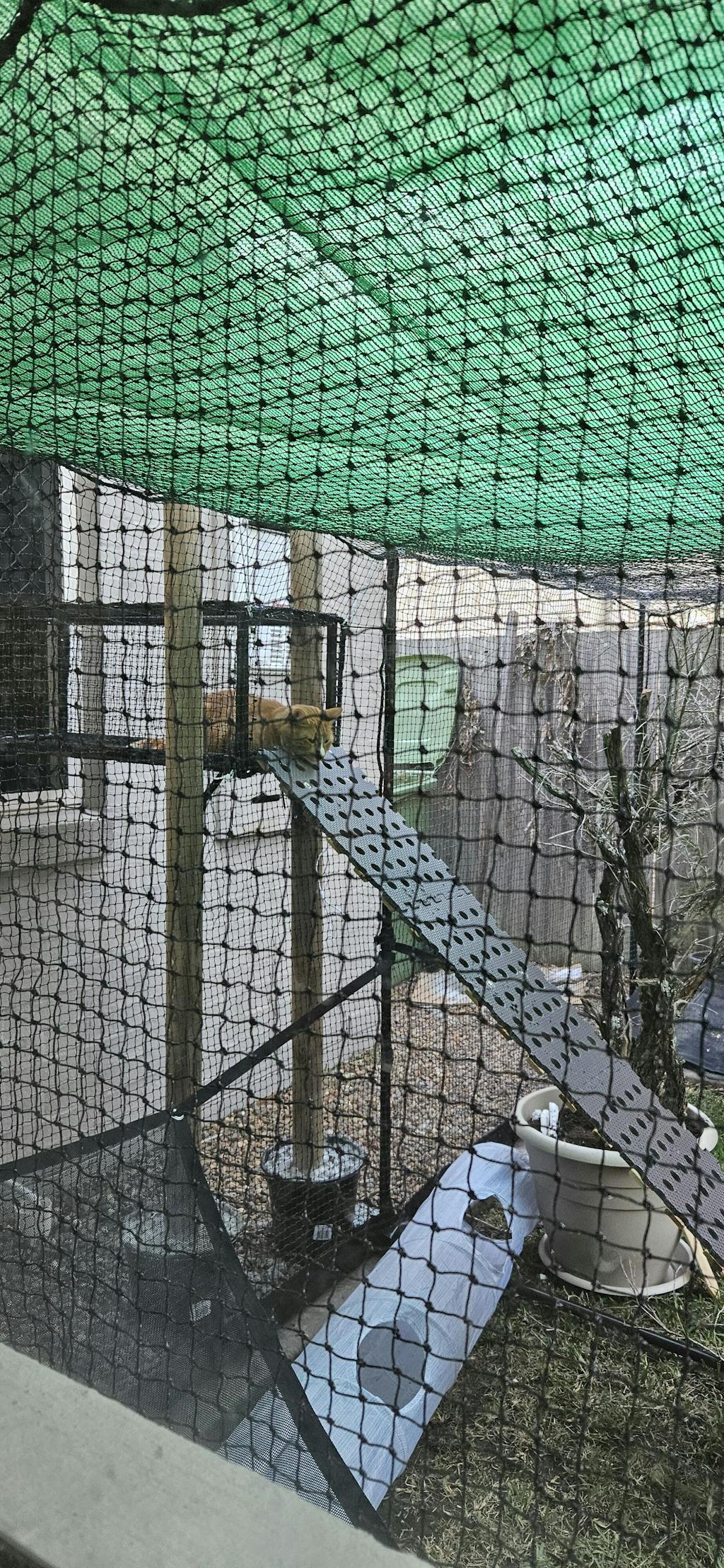 Premium Portable Cat Enclosure Double 3.6m – Catnets