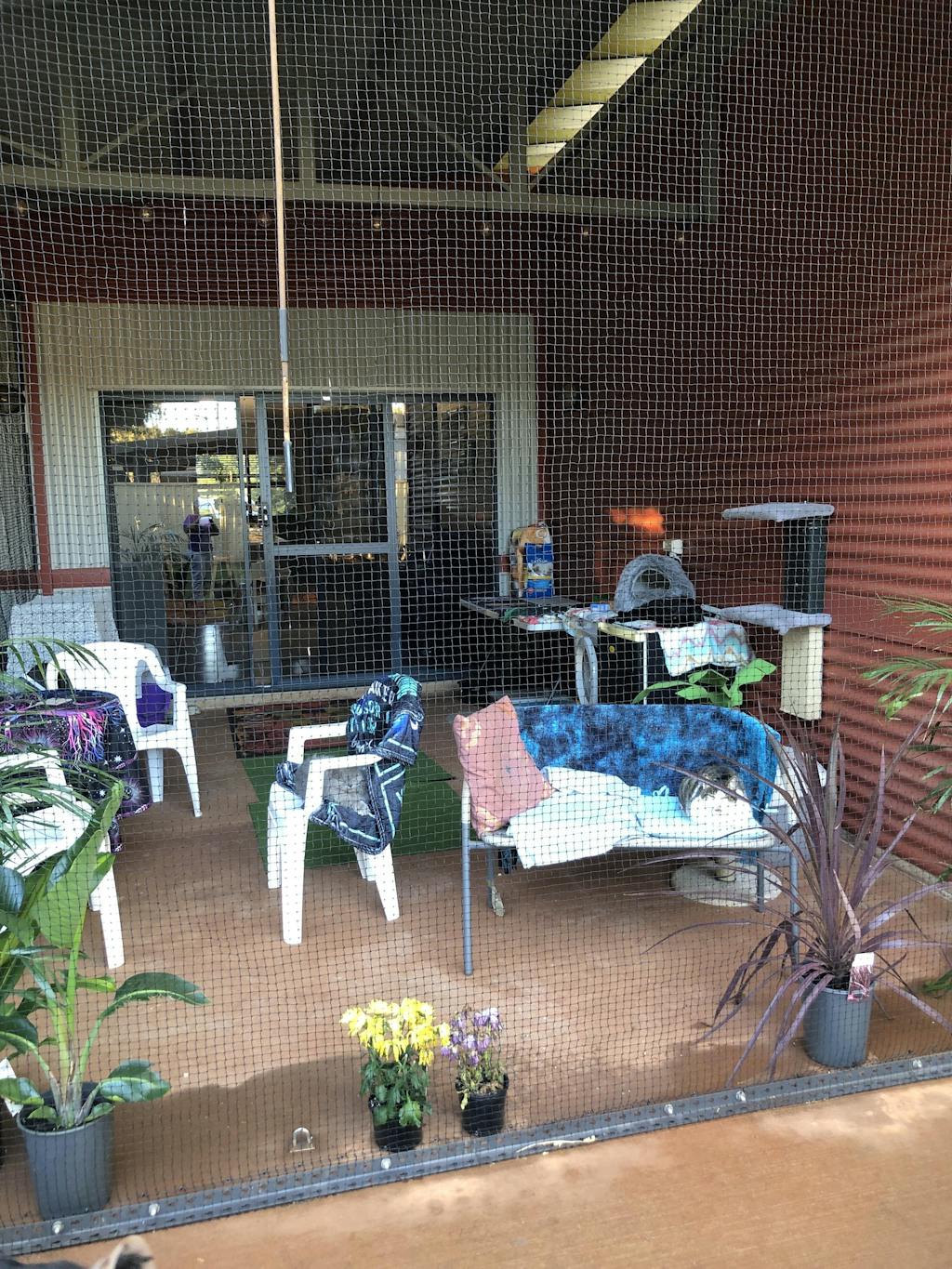 Cat Netting 25m x 3m Black – Catnets