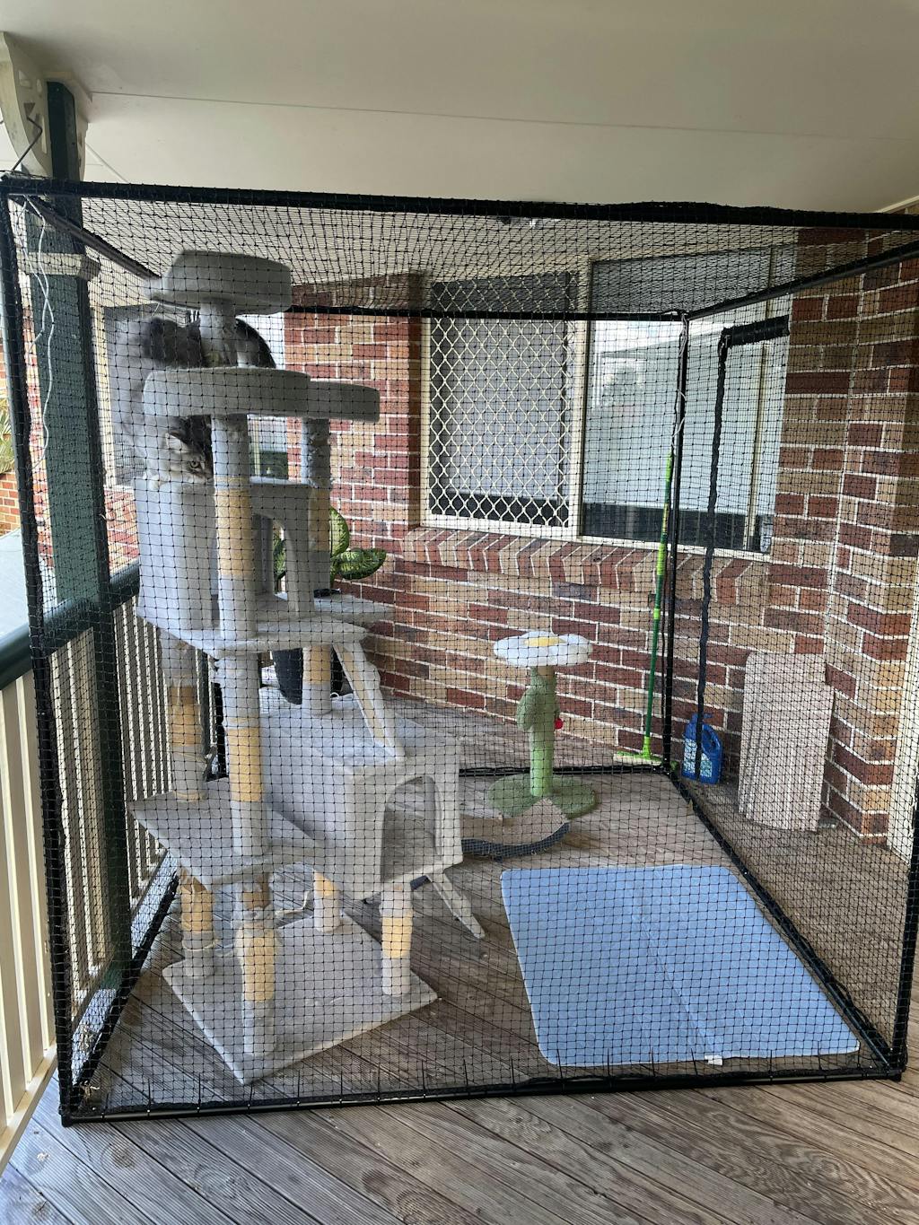 Single Size 1.8m Free-Standing Cat Enclosure – Catnets New Zealand