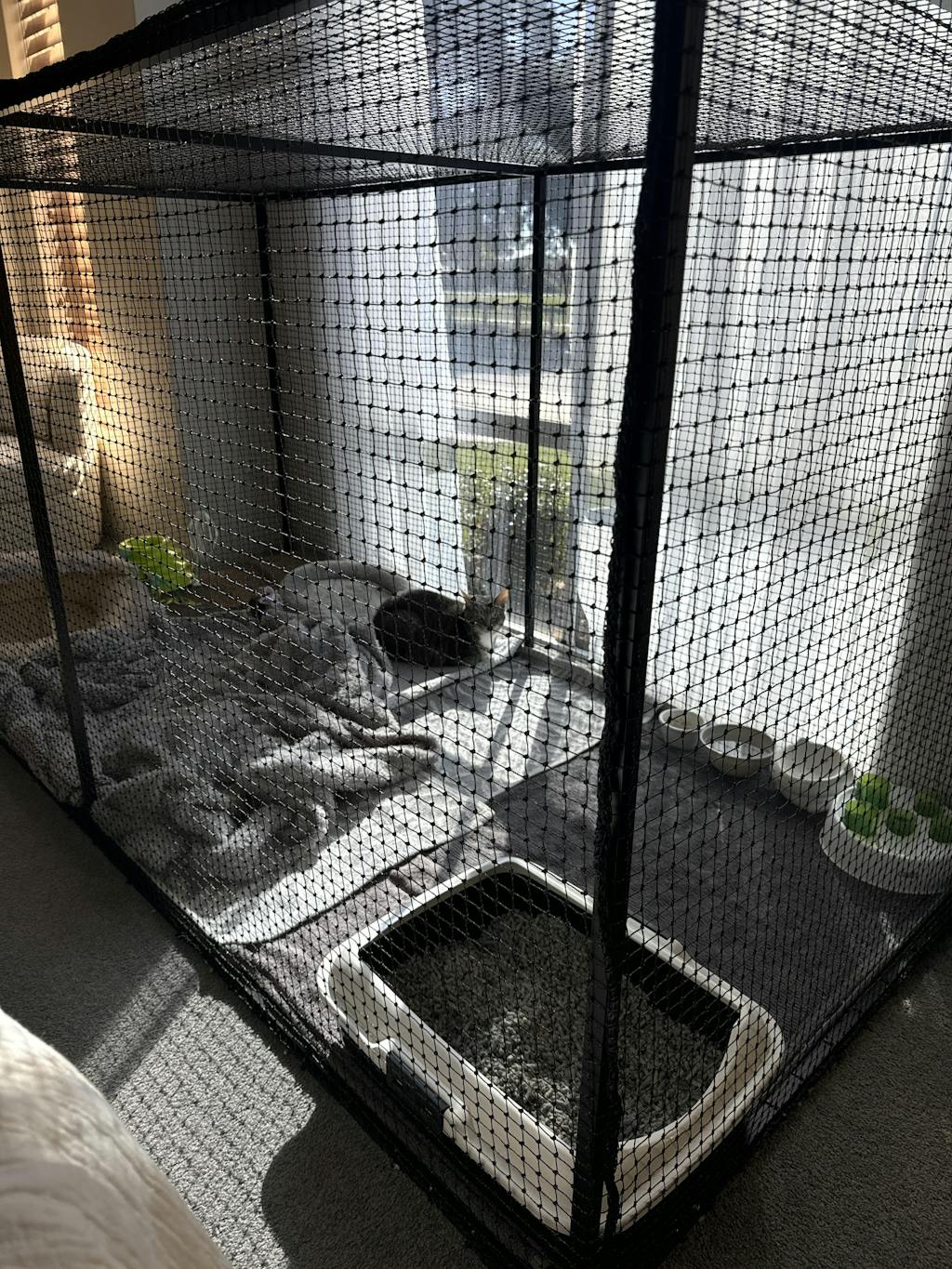 Lite Portable Cat Enclosure 2.3m – Catnets