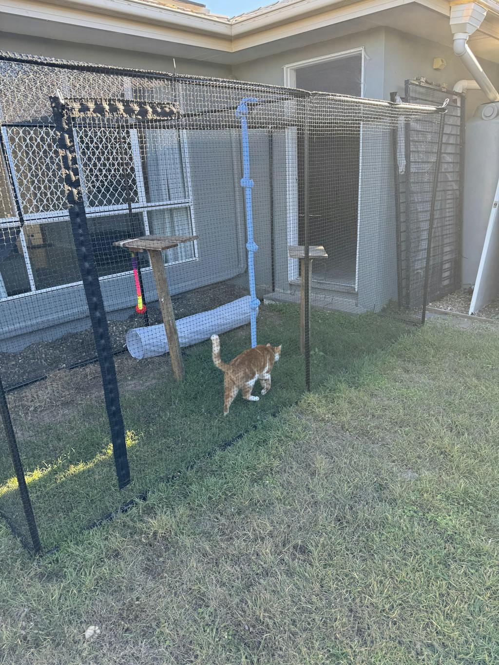 Double Size 3.6m Freestanding Cat Enclosure – Catnets