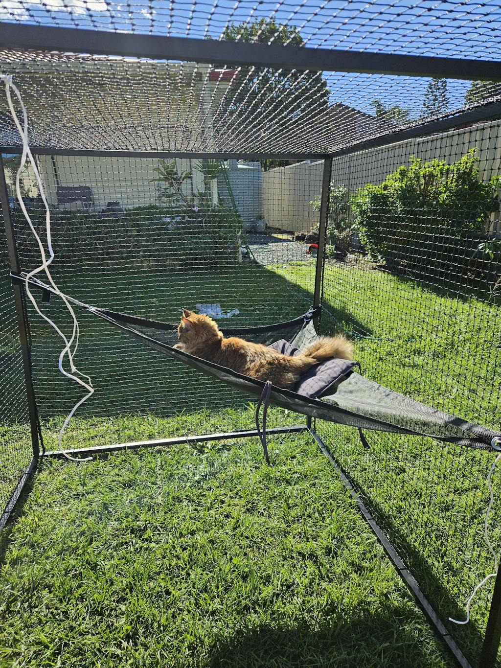 Lite Portable Cat Enclosure 2.3m – Catnets