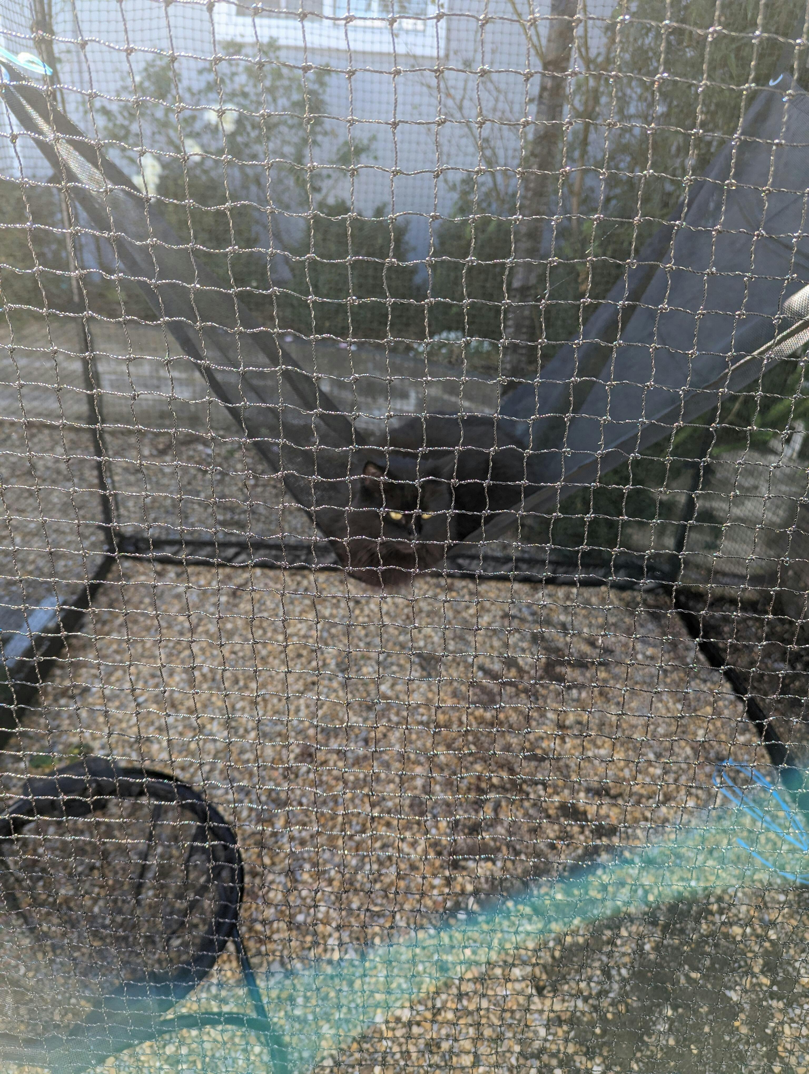 Premium Portable Cat Enclosure 1.8m – Catnets