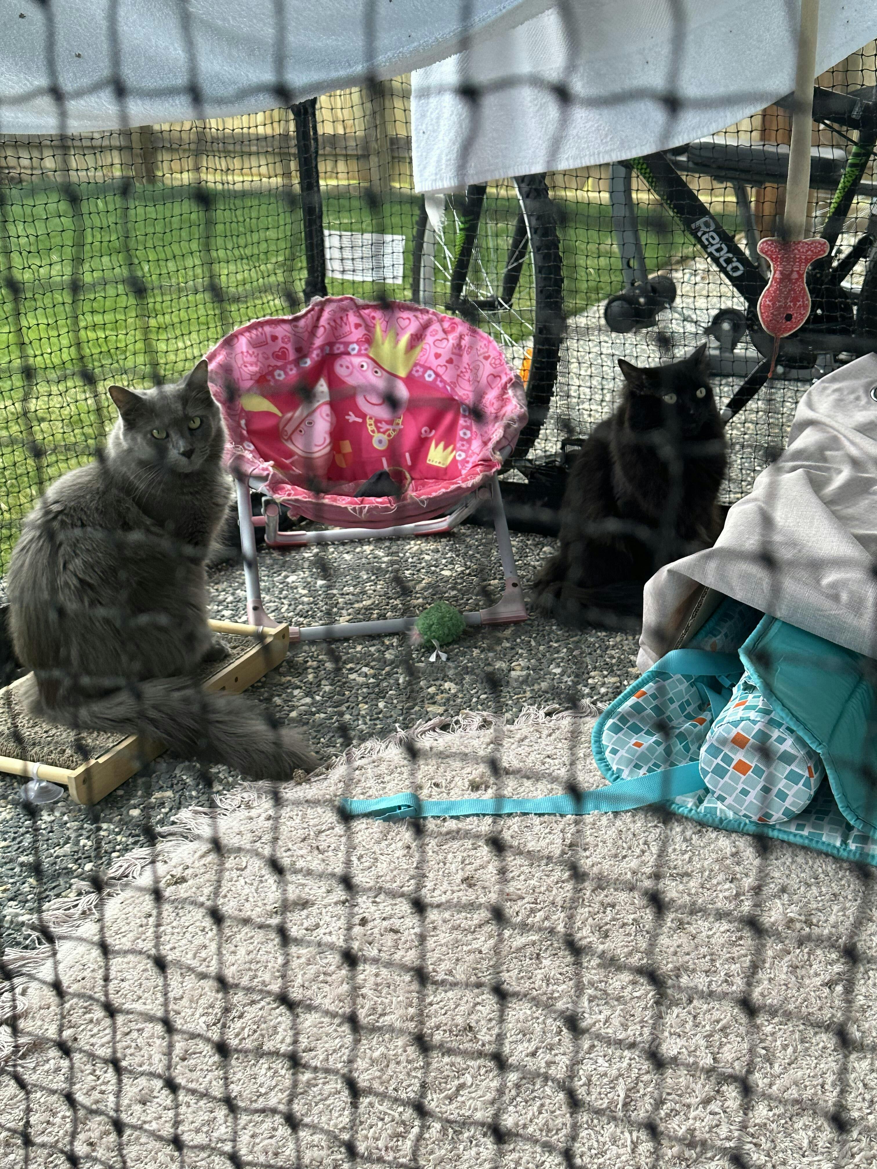 Premium Portable Cat Enclosure 1.8m – Catnets