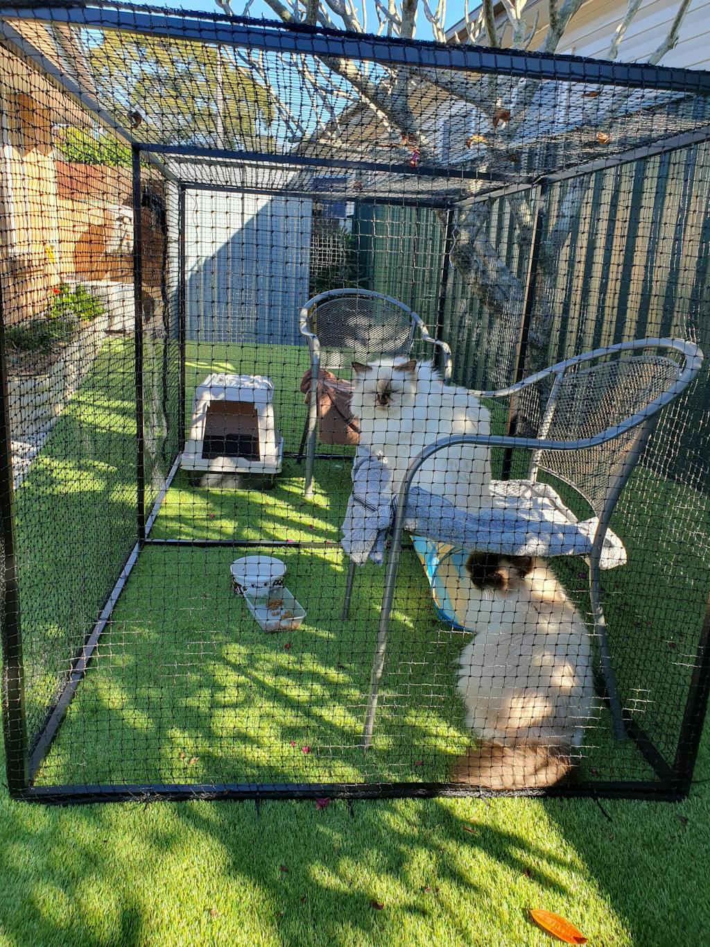 Lite Portable Cat Enclosure 2.3m – Catnets