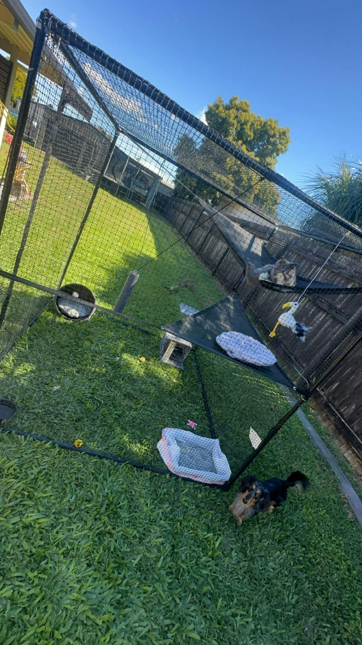 Single Size 1.8m Free-Standing Cat Enclosure – Catnets New Zealand