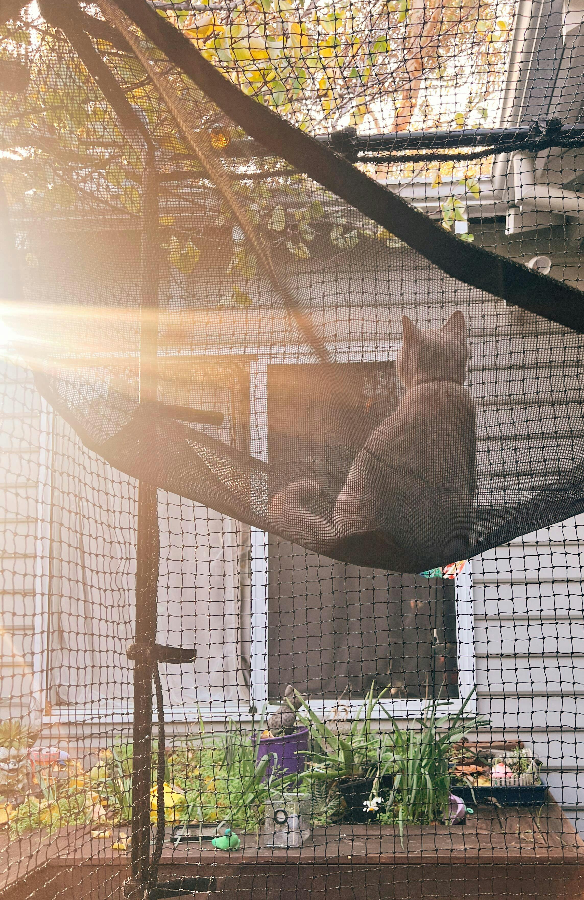 Premium Portable Cat Enclosure 1.8m – Catnets