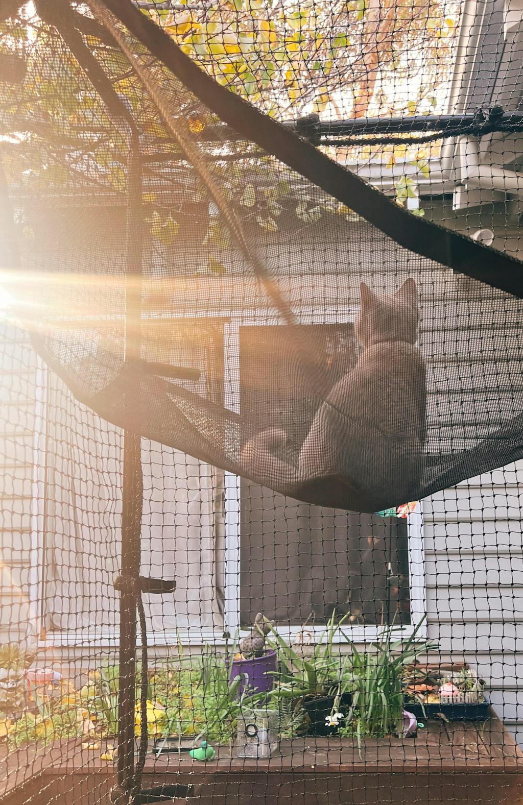 Premium Portable Cat Enclosure 1.8m – Catnets