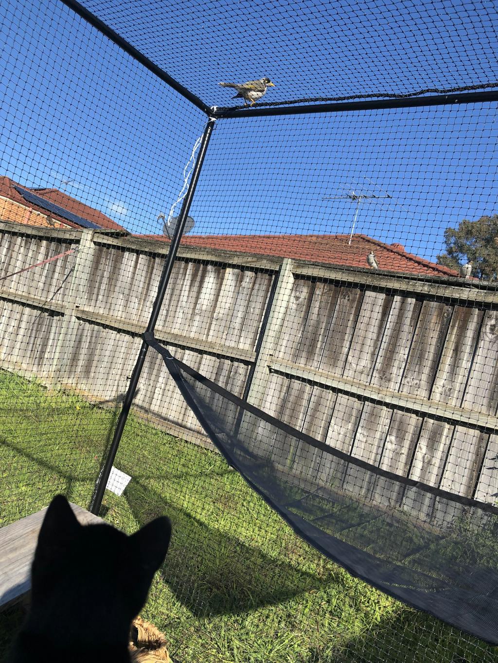 Single Size 1.8m Freestanding Cat Enclosure – Catnets