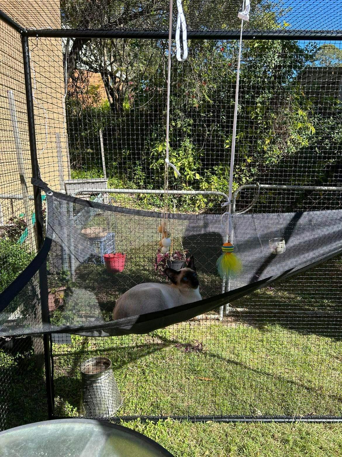 Single Size 1.8m Freestanding Cat Enclosure – Catnets