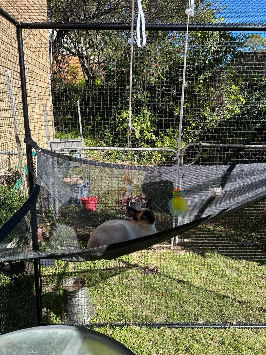 Single Size 1.8m Free-Standing Cat Enclosure – Catnets New Zealand