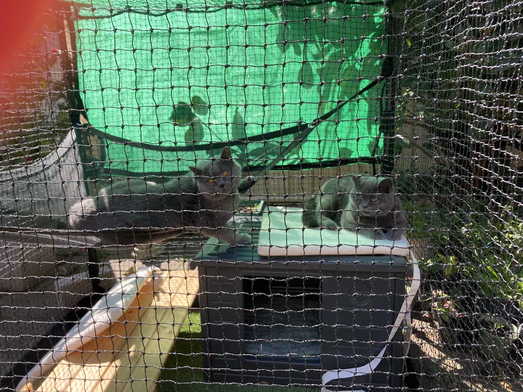 Premium Portable Cat Enclosure 1.2m – Catnets