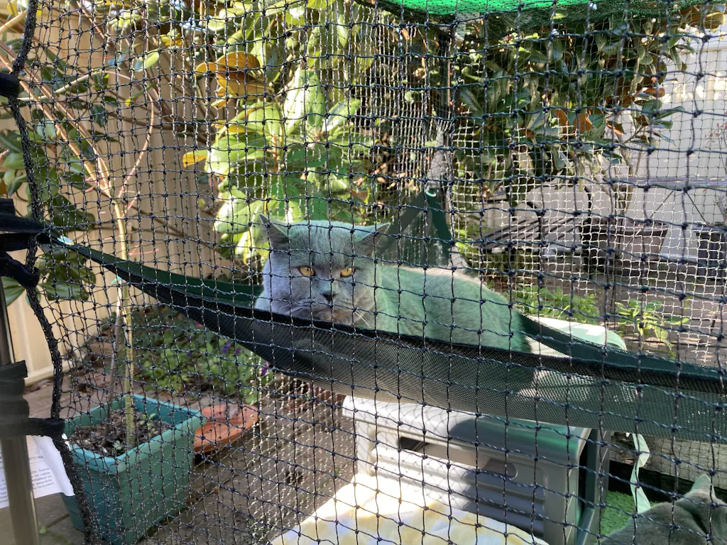 Premium Portable Cat Enclosure 1.2m – Catnets