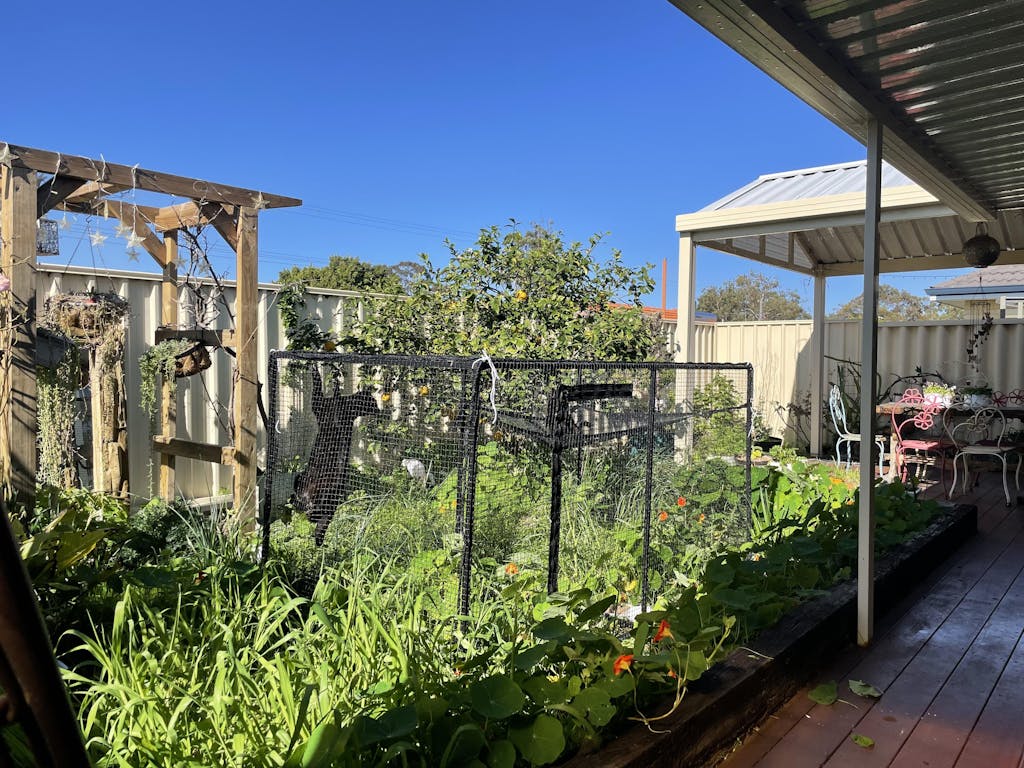 Lite Portable Cat Enclosure 2.3m – Catnets