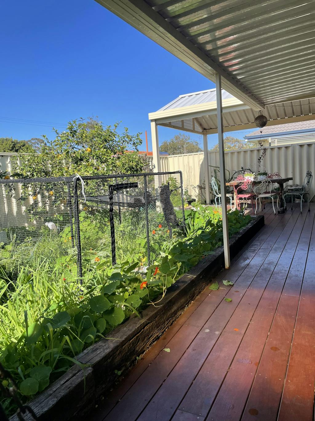 Lite Portable Cat Enclosure 2.3m – Catnets