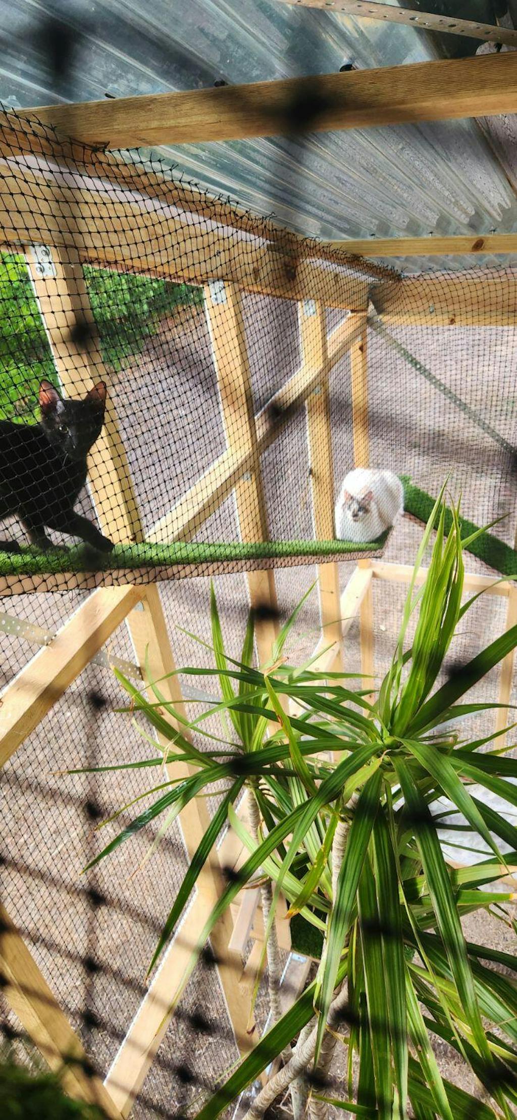 Cat Netting 25m x 3m Black – Catnets