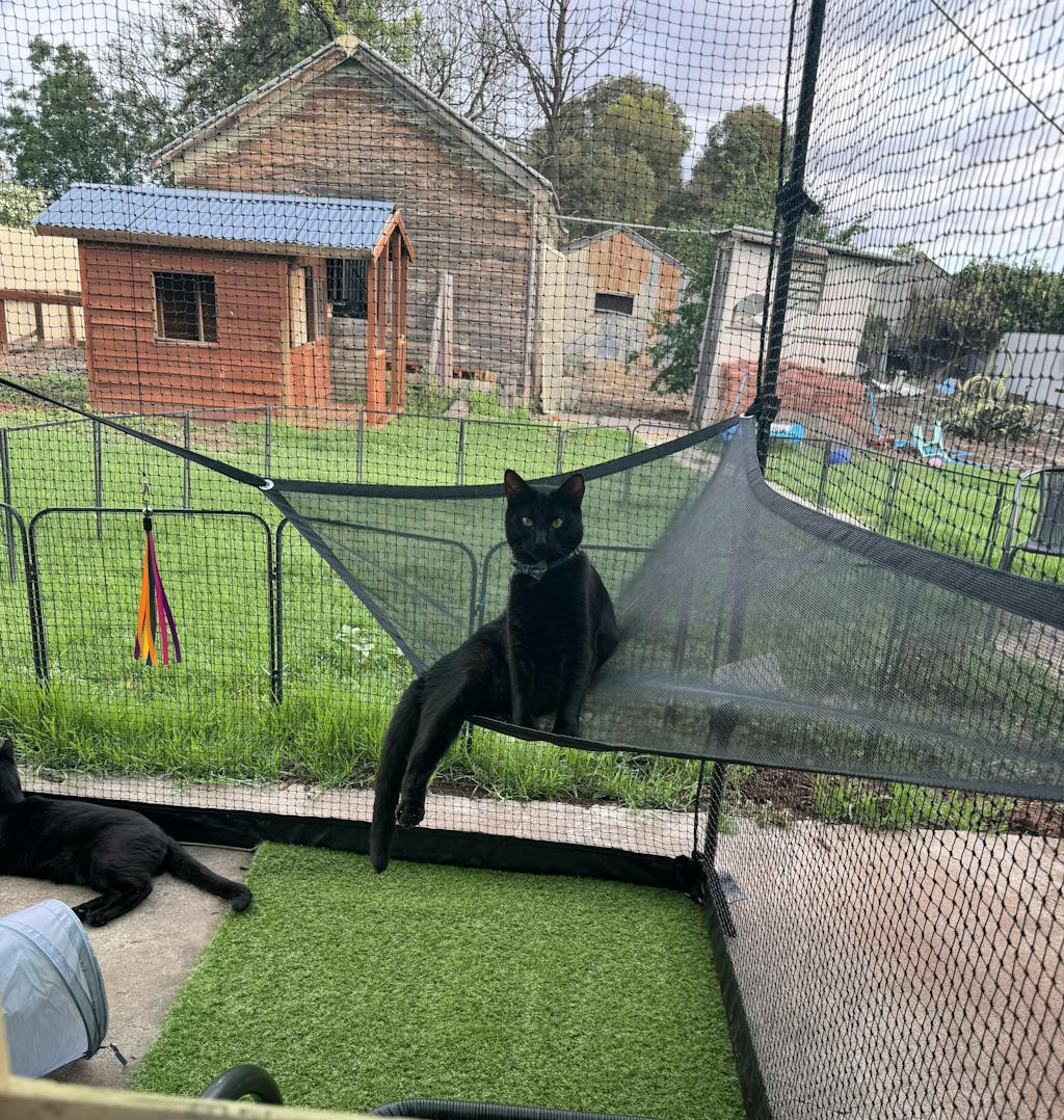 Premium Portable Cat Enclosure 1.8m – Catnets