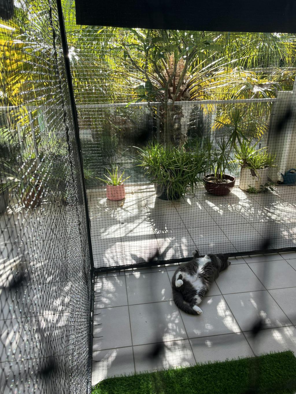Single Size 1.8m Free-Standing Cat Enclosure – Catnets New Zealand