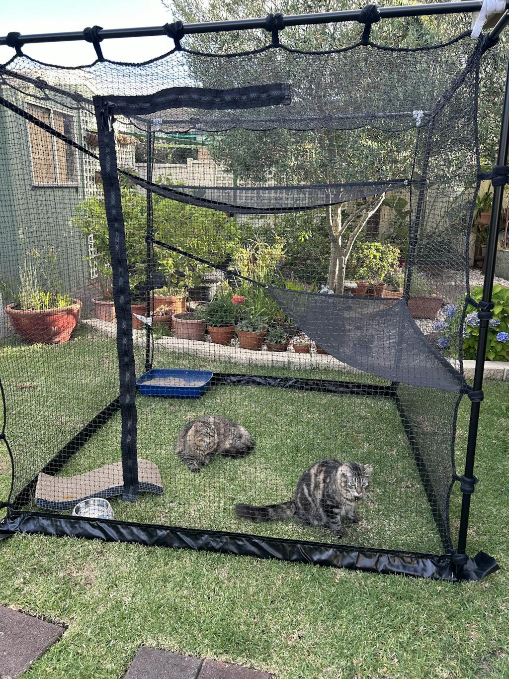Premium Portable Cat Enclosure 1.8m – Catnets